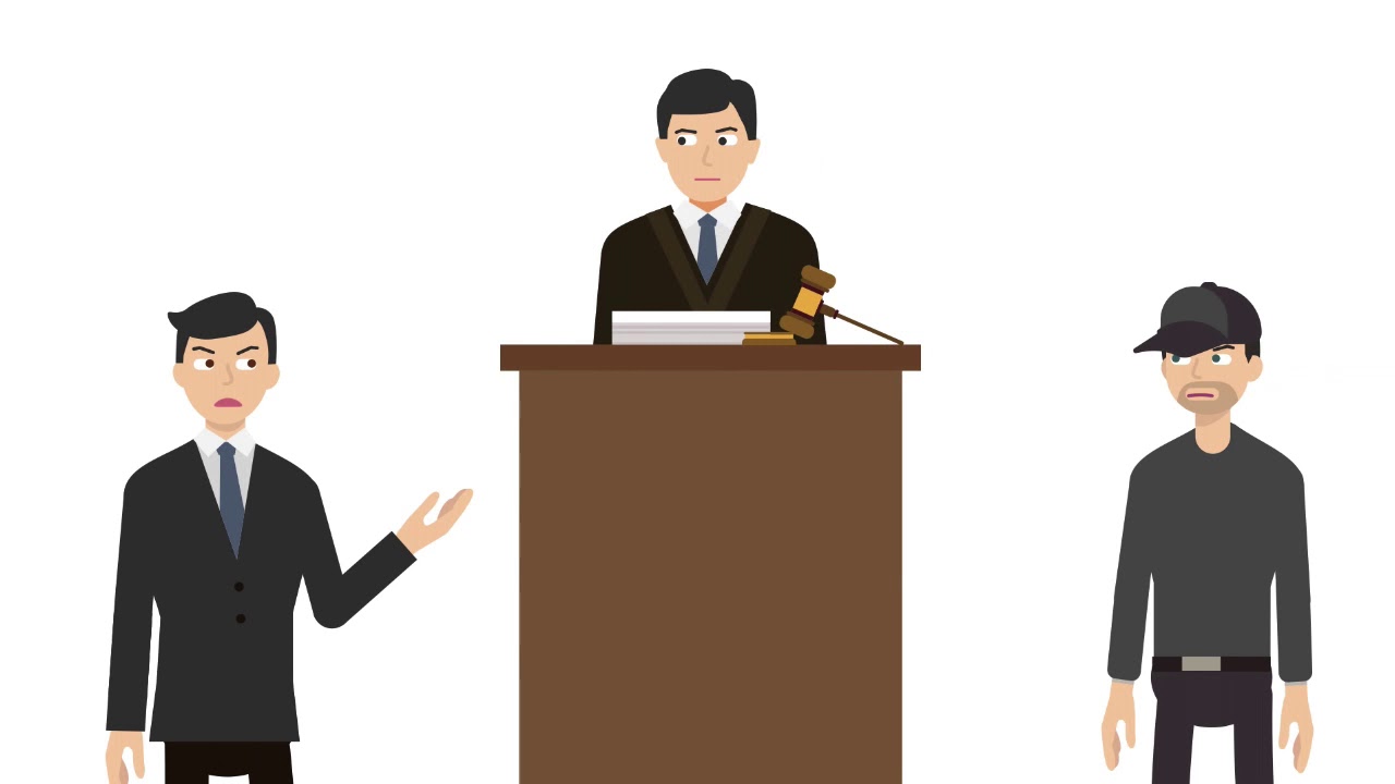 People v. Navarro Case Brief Summary | Law Case Explained - YouTube