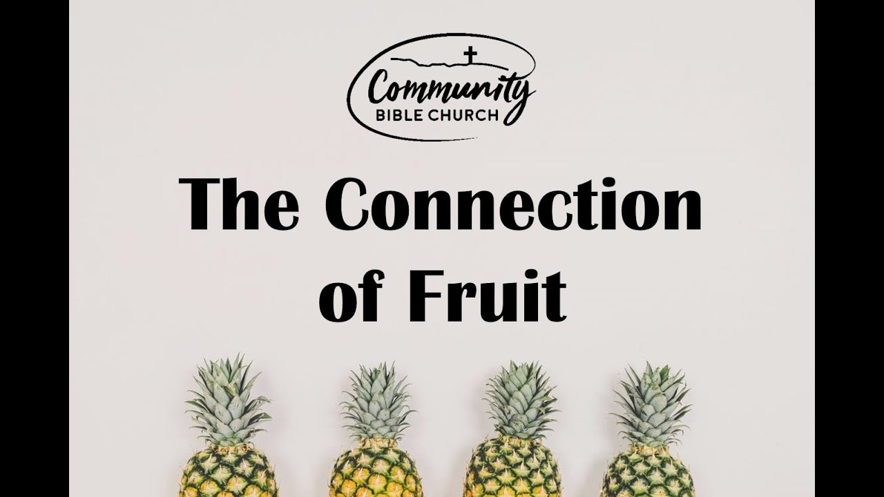 The Connection of Fruit - YouTube