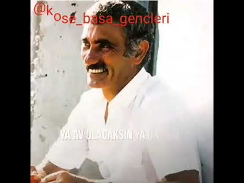 #cio ba yilmaz güney sin çirkin kiral