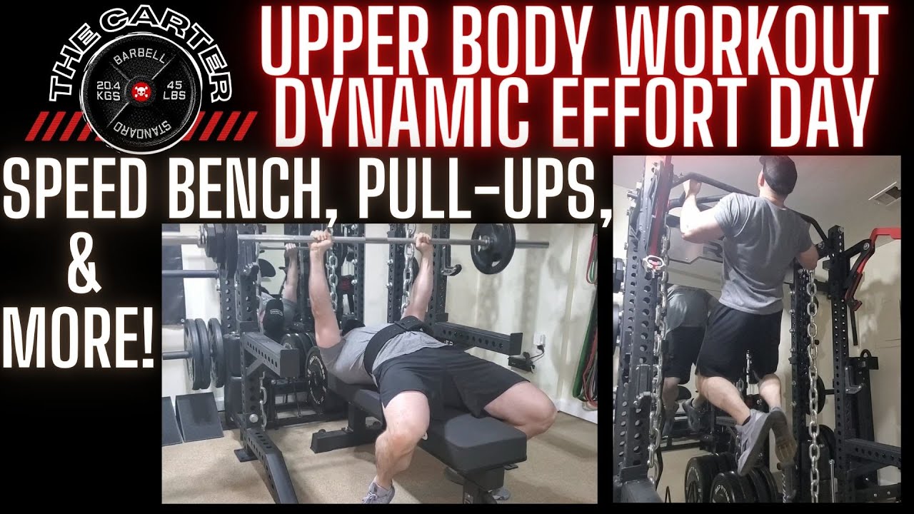 UPPER BODY WORKOUT! | Back to Pull-Ups & More!| The Carter Strength ...