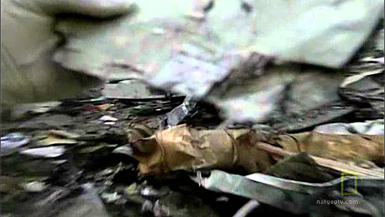 AA77's Aircraft Debris at A-E Drive Between the Pentagon Rings C & B ...