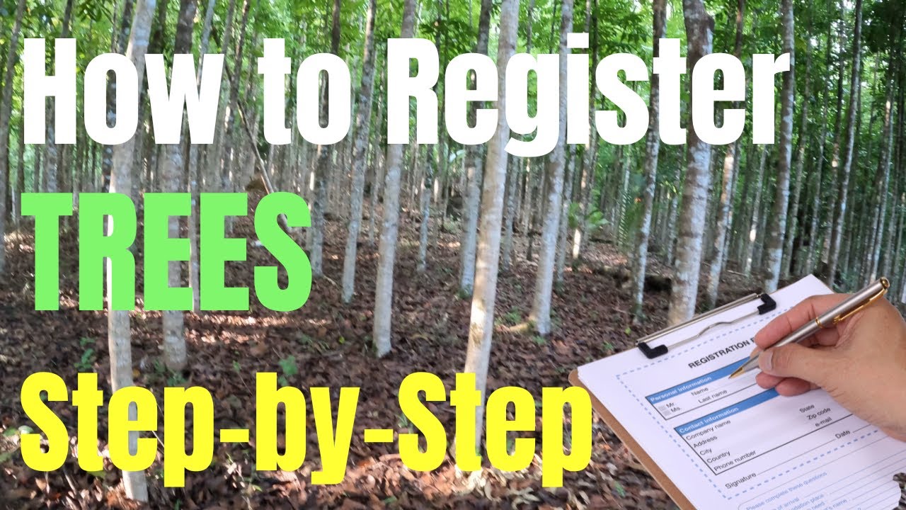 HOW to register trees - STEP by STEP Guidelines - YouTube