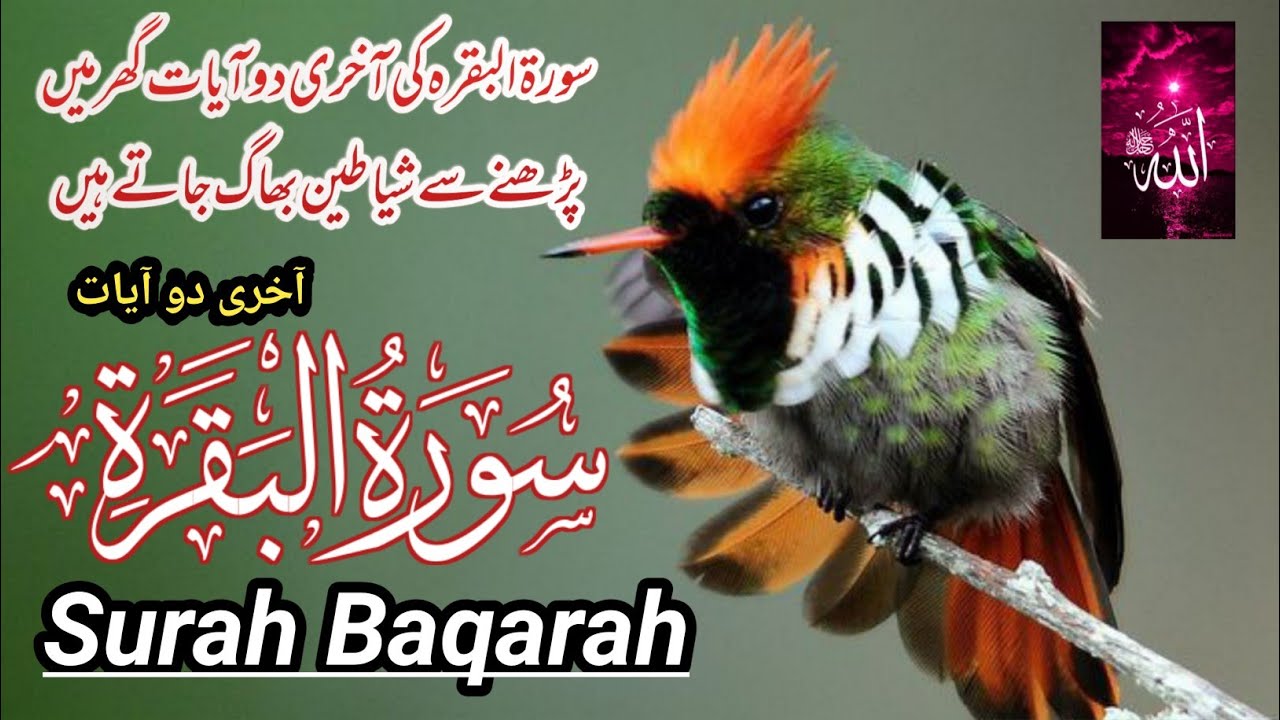 Tilawat Surah Baqarah Last 2 Verses سورۃ البقرہ کی آخری دو آیات