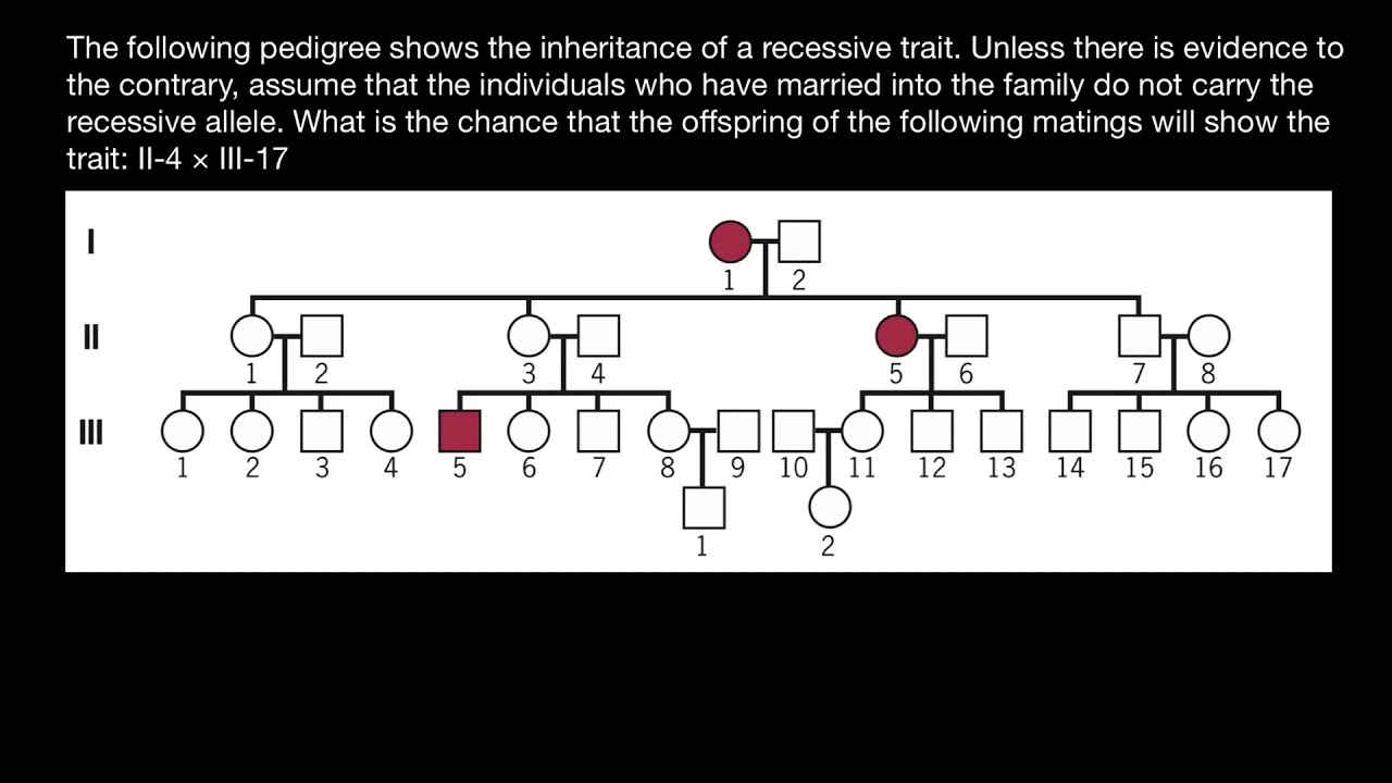 How To Solve Pedigree Probability Problems 2 YouTube how-to-solve-pedigree-probability-problems-2-youtube