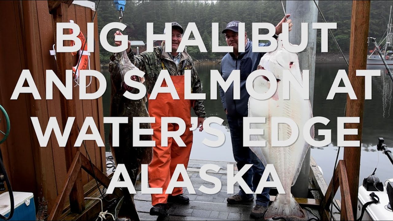 Big Halibut and Salmon Fishing in Elfin Cove, Alaska - YouTube