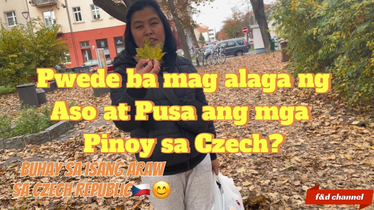 Pwede ba mag alaga ng aso at pusa ang mga Pinoy sa Czech?/ floe and ...