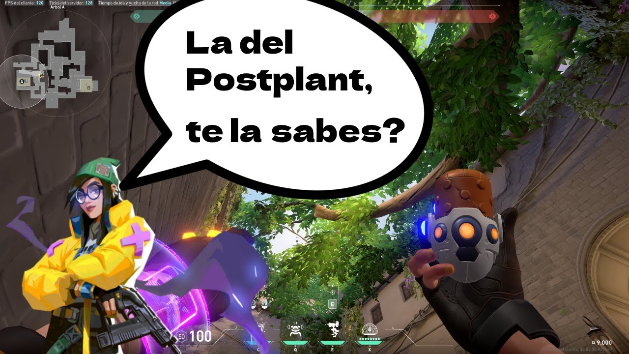 SETUPS KILLJOY EN ASCENT + POSTPLANTS - GUIA KILLJOY ASCENT 2023 - YouTube