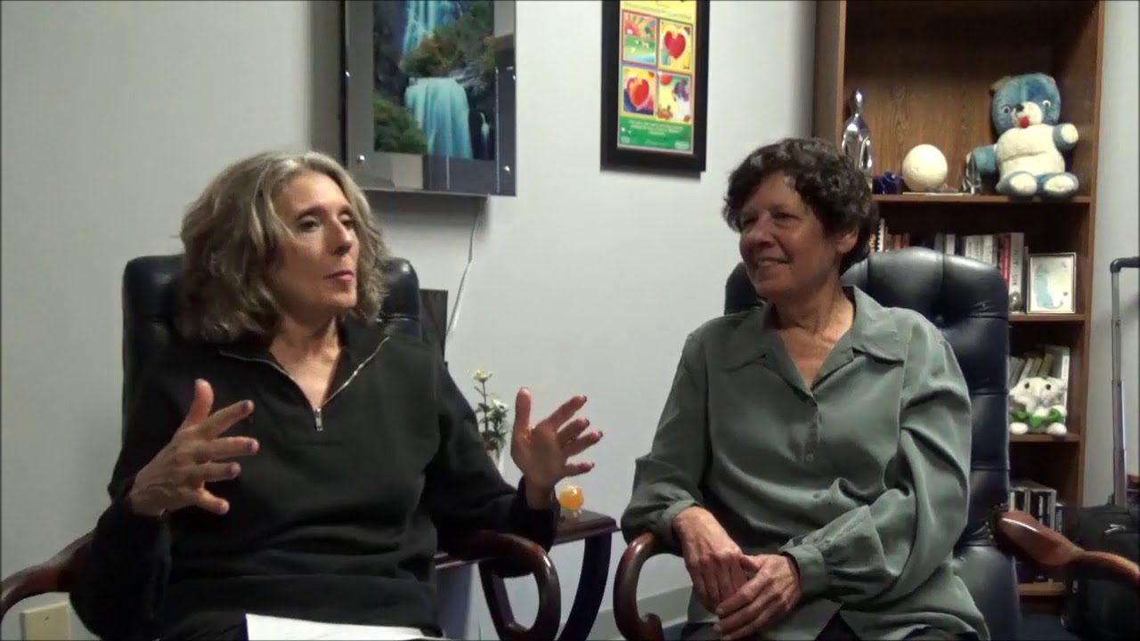 An Interview With Dr Janice Stanger About Nutrition and Pregnancy - YouTube