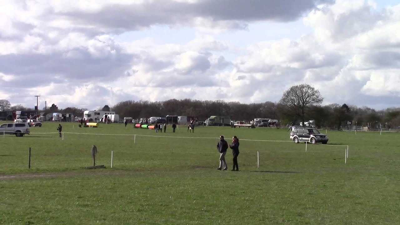McFee : BE80 Norton Disney : ridden by Mary Kate Rylands : XC final ...