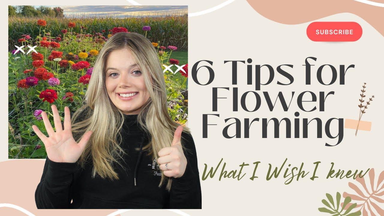My 6 tips for flower farming - YouTube