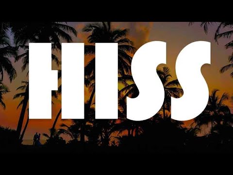 HISS (Lyrics) - Megan Thee Stallion, Nicki Minaj, DJ Snake - YouTube