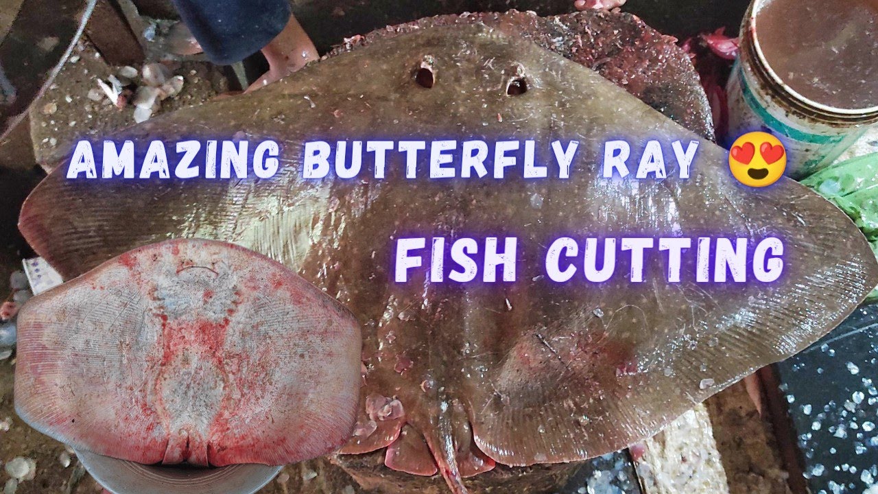 never seen big butterfly ray cutting / stingray cutting skills / Mr Pro ...