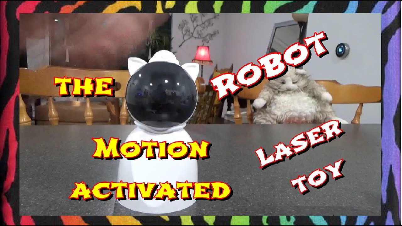The Robot Laser Cat Toy - YouTube