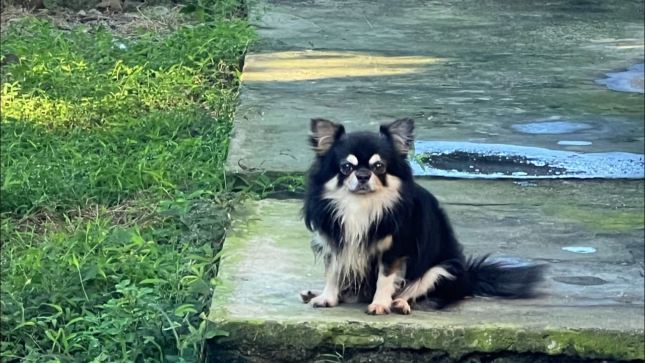 Lovely morning to all! - YouTube