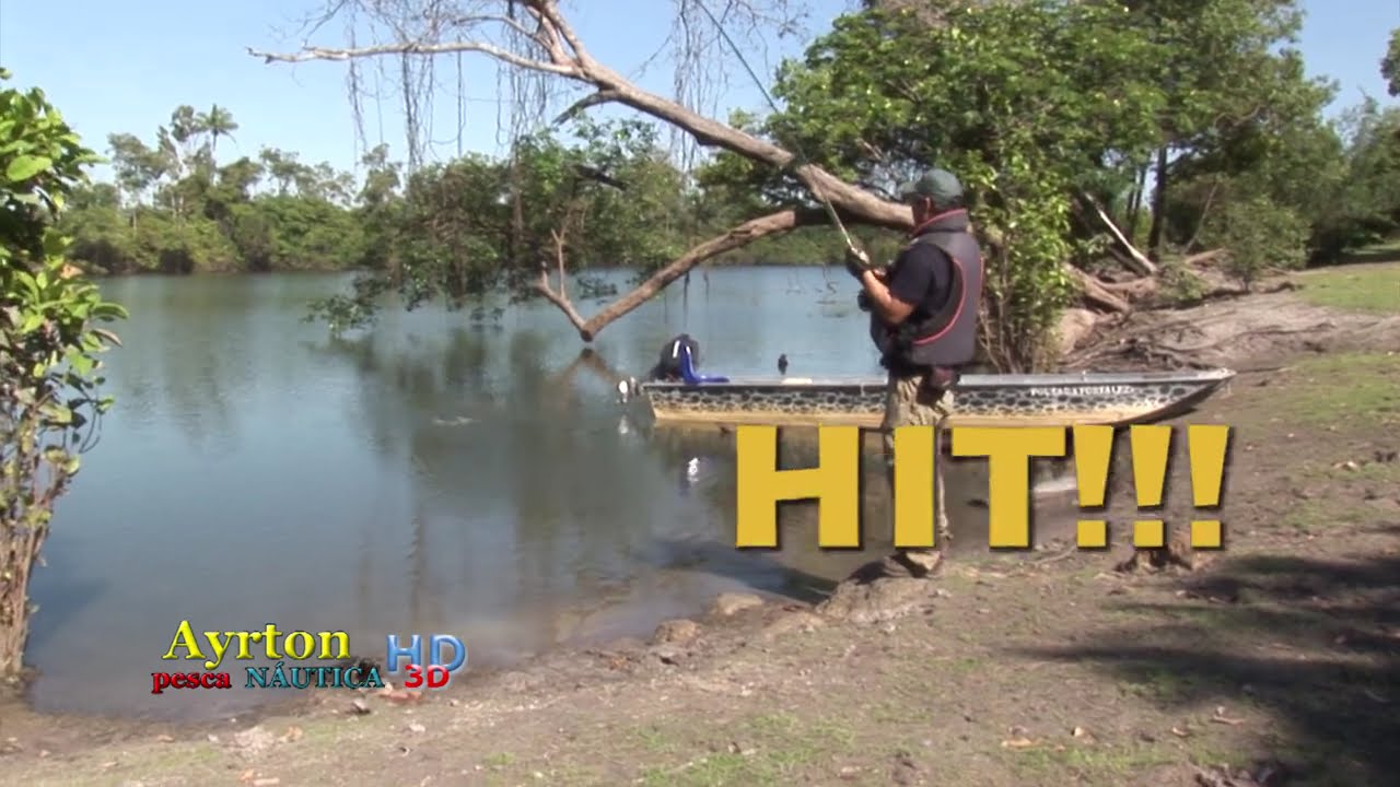 AYRTON PESCA FISH TV: RIO TELES PIRES, PESCA DE FLY, MATO GROSSO ...