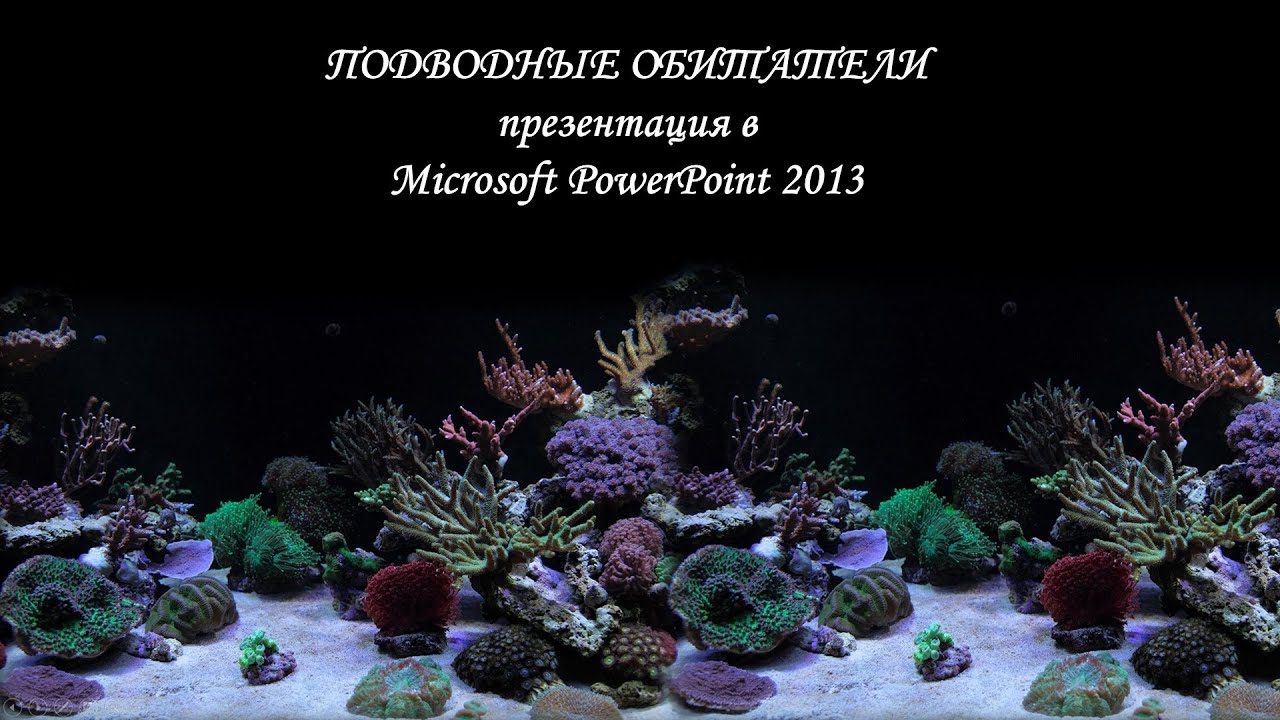 Создание презентации в Microsoft Powerpoint Youtube