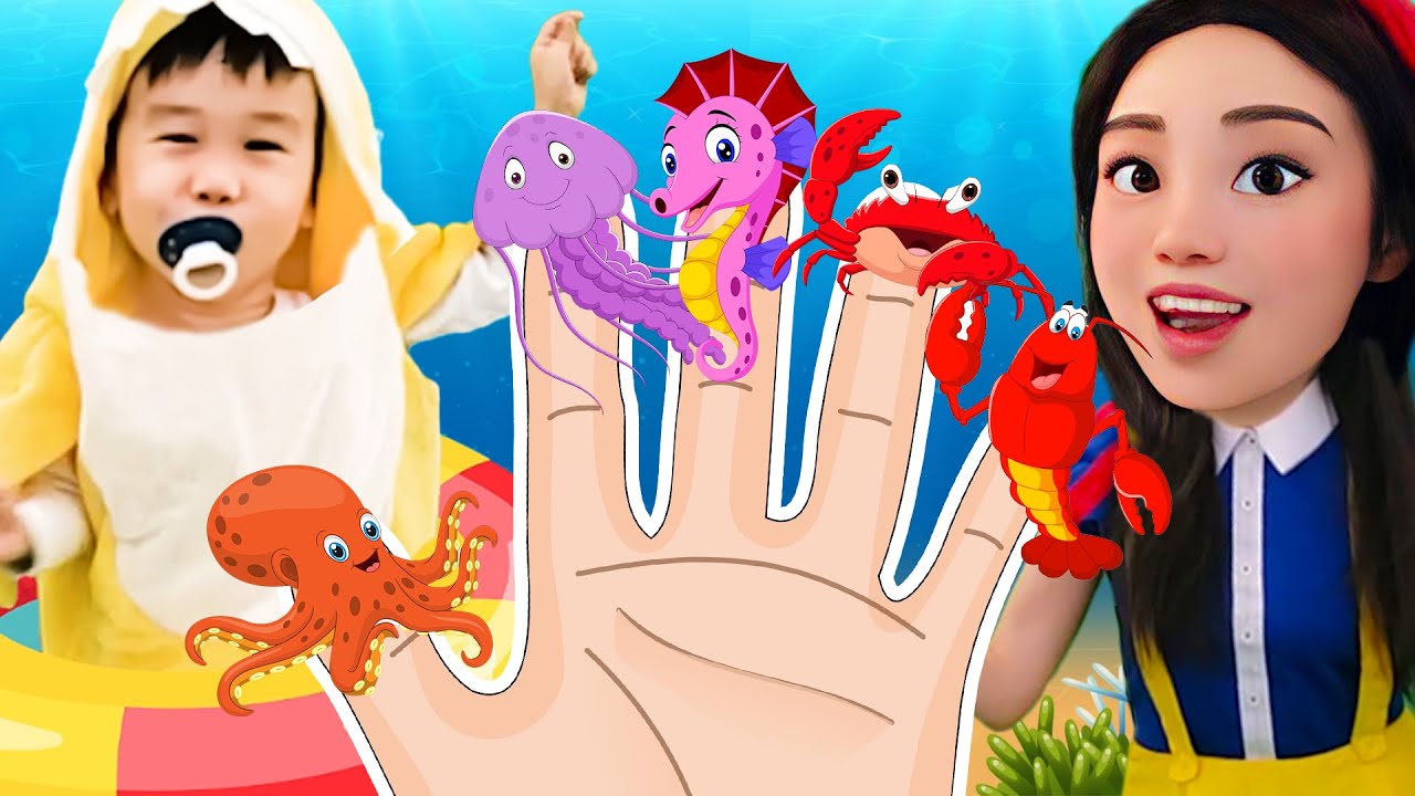 Sea Animals Finger Family | Nursery Rhymes | DoReMi Kids Songs - YouTube