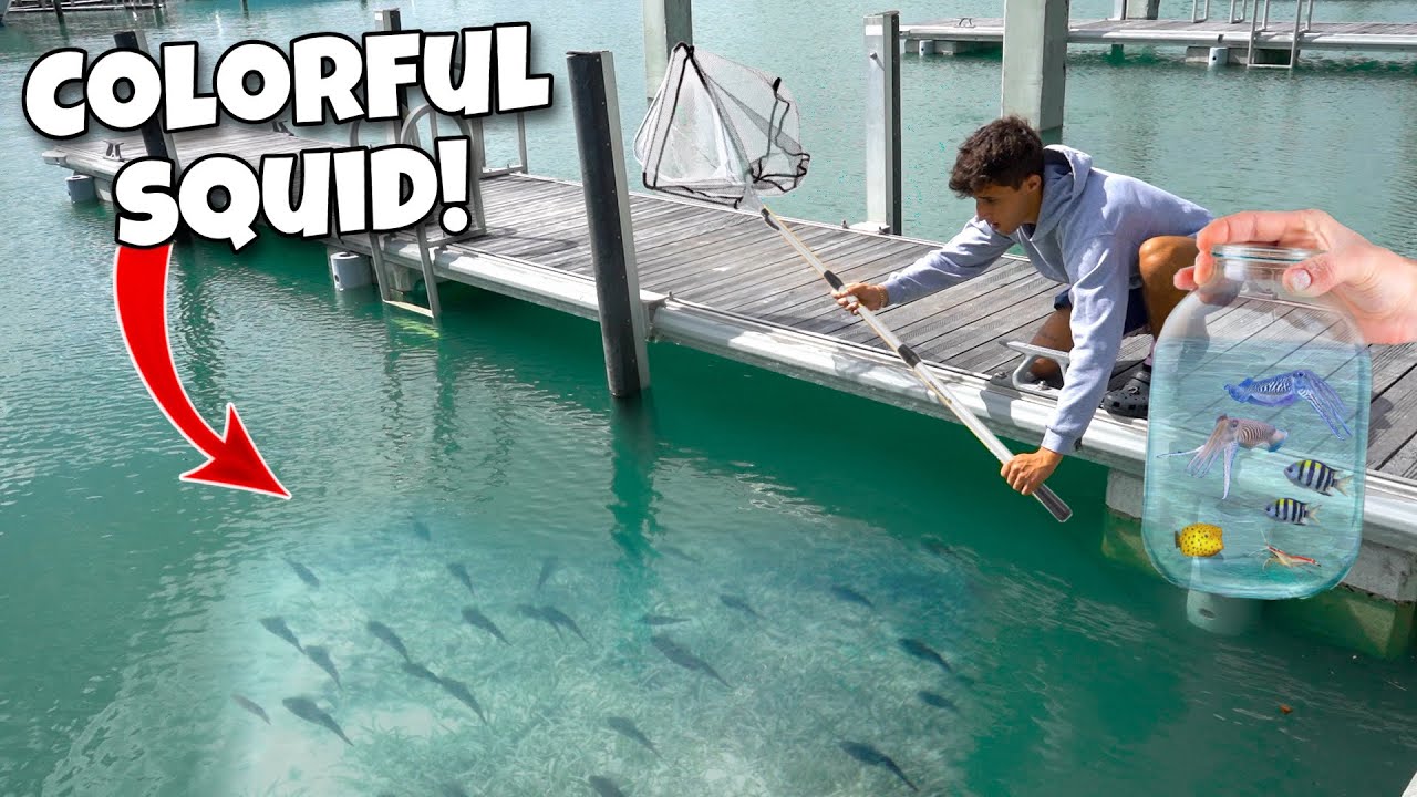Netting COLORFUL SQUID and MICRO AQUARIUM FISH!! *Crazy Finds* - YouTube