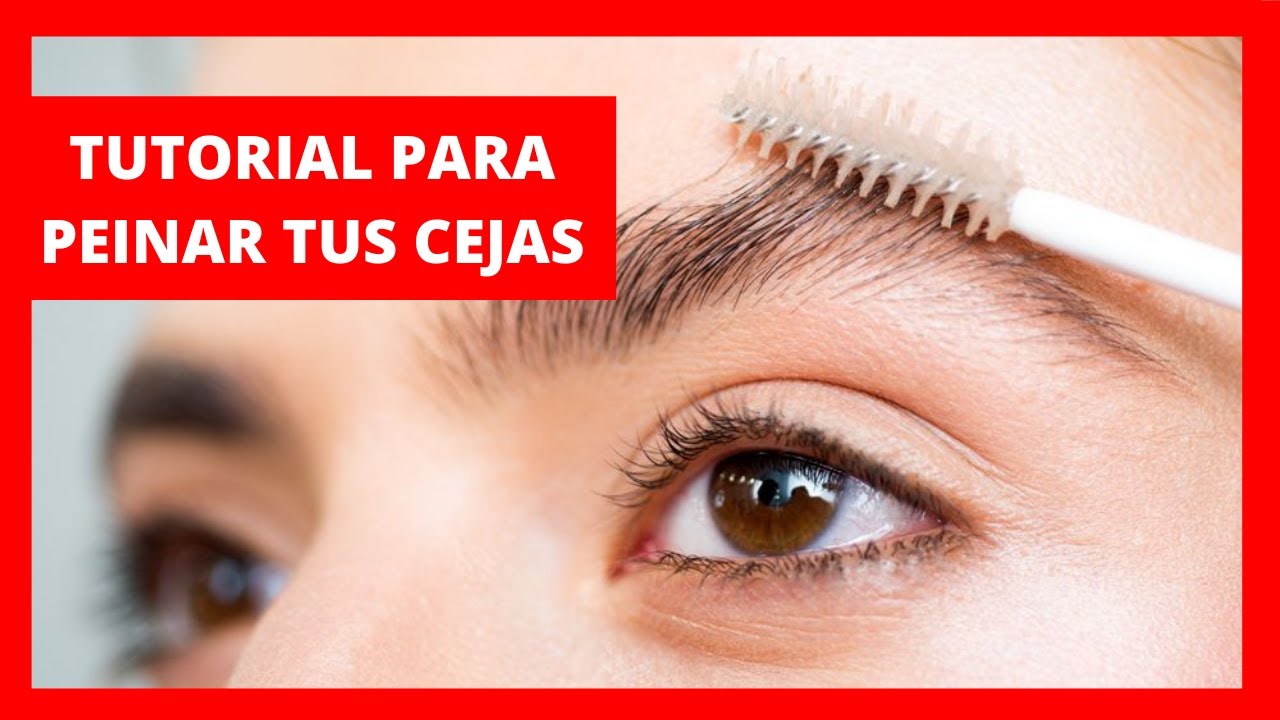 COMO PEINARSE LAS CEJAS PASO A PASO | CEJAS PERFECTAS 😍 | APRENDE PASO ...