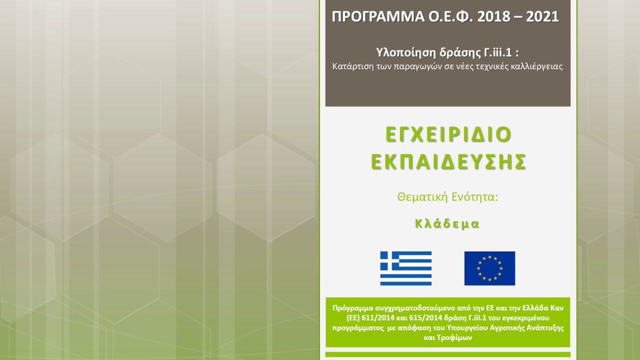 Εκπαίδευση σε πρακτικές κλαδέματος ελαιοκαλλιέργειας - YouTube