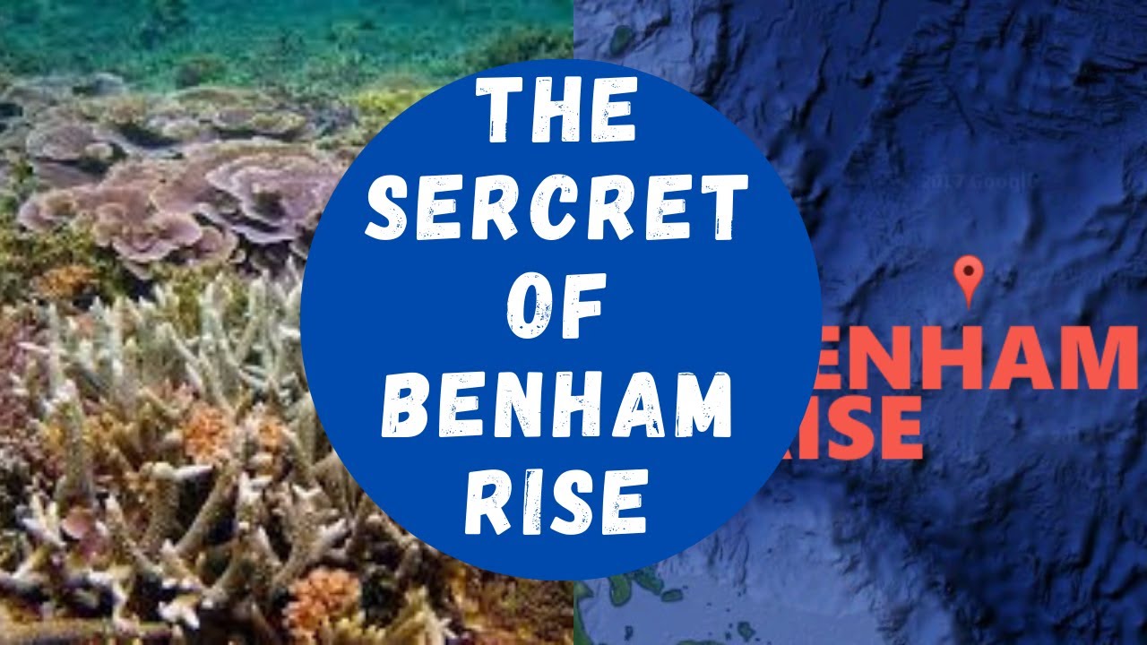 THE SECRET OF BENHAM RISE | THE AMAZING MINERALS UNDER THE SEA | FROM ...