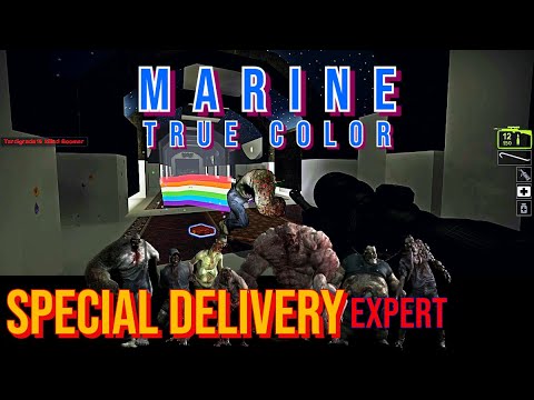 L4D2: Marine True Color (Special Delivery - Expert) - YouTube