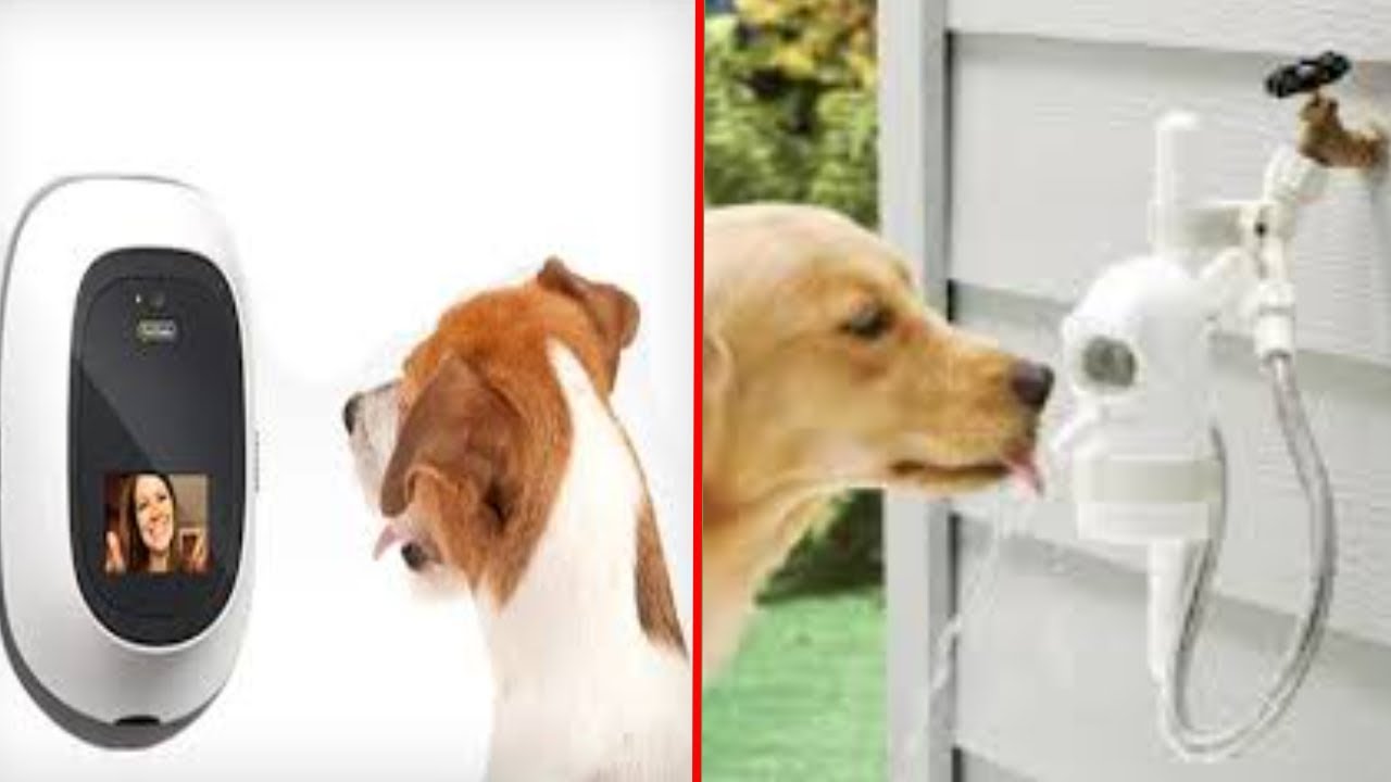 10 Useful Gadgets for pets!!! - COOL Pet Technology - YouTube