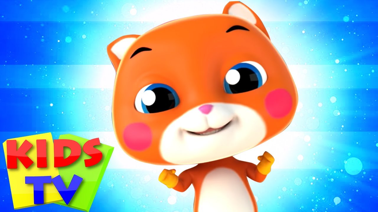 Tiga Anak Kucing Kecil | Kartun untuk anak | Video edukasi anak | Kids ...