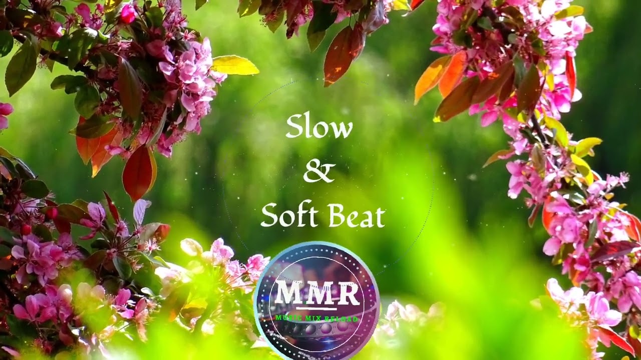 Soothing Peace Slow & Soft Beat No Copyright Background Music 🎧 Awake ...