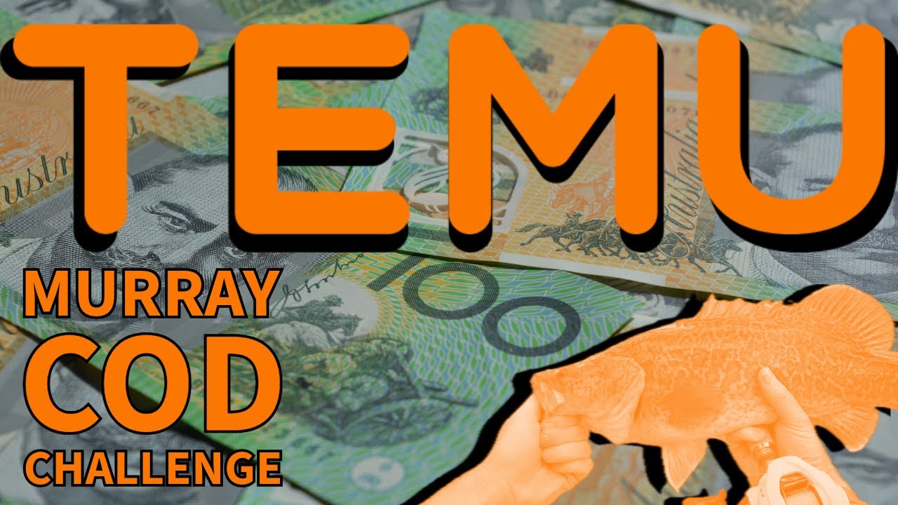 TEMU $100 Murray Cod Fishing Challenge – Can Budget Gear Handle It ...