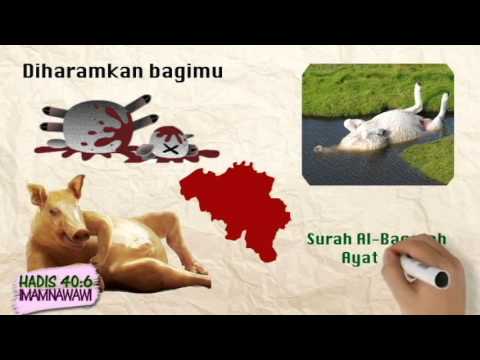 ANIMASI RINGKAS HALAL HARAM SYUBHAH - HADIS KE 6 - YouTube