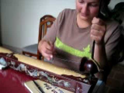 Dan Bau lesson - YouTube