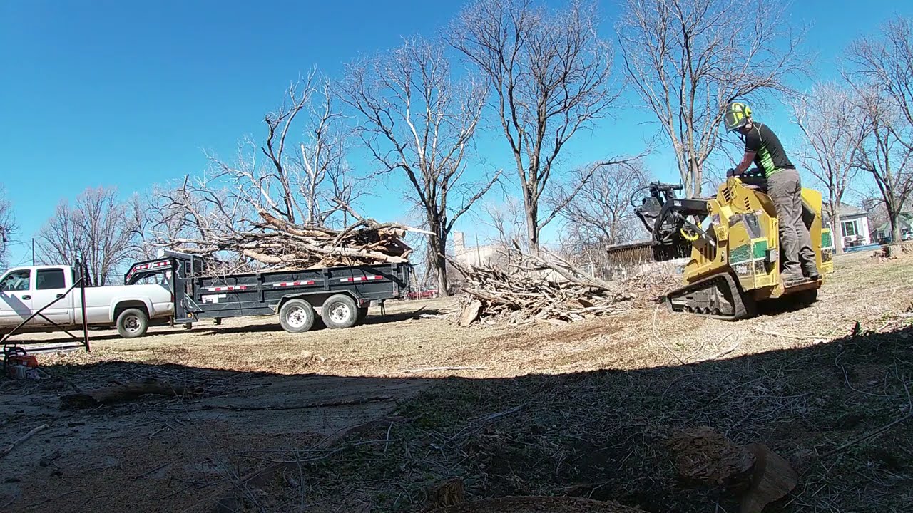 Vermeer Mini Skid and Branch Manager Grapple Max efficiency - YouTube