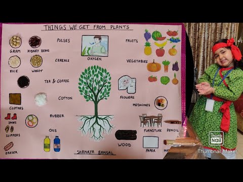 Shanaya telling about things we get from plants, importance of trees ...