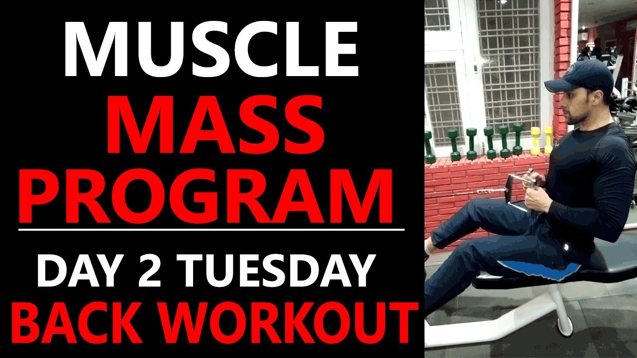 FULL BACK WORKOUT FOR MASS GAIN/ SIZE GAIN WORKOUT PROGRAM - YouTube