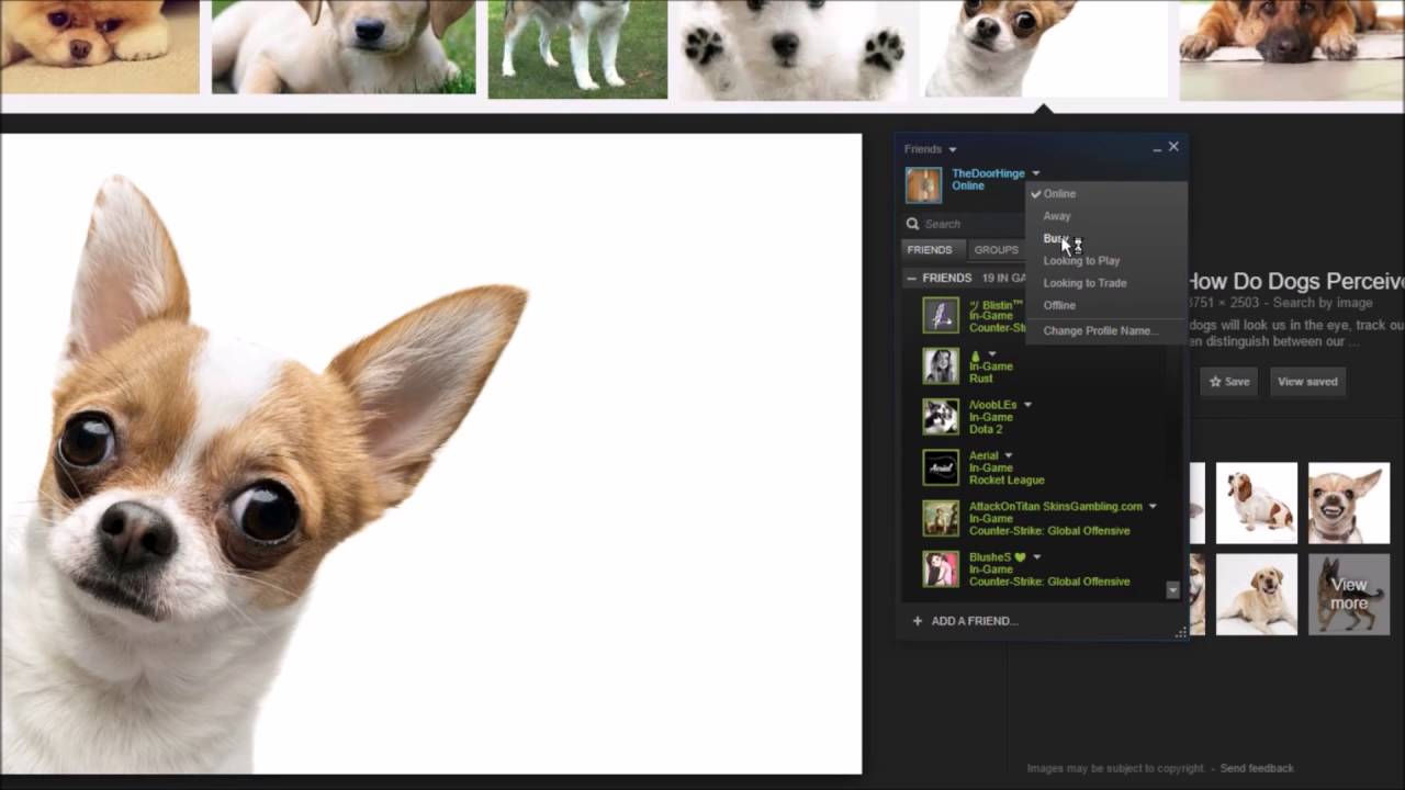 How To Go Online In Steam Tutorial YouTube how-to-go-online-in-steam-tutorial-youtube