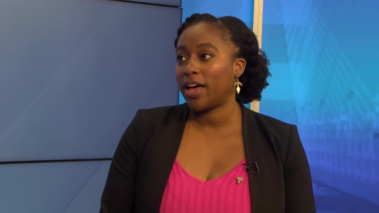 VIDEO: Meet the Candidates: SC House District 113: Michelle Brandt ...
