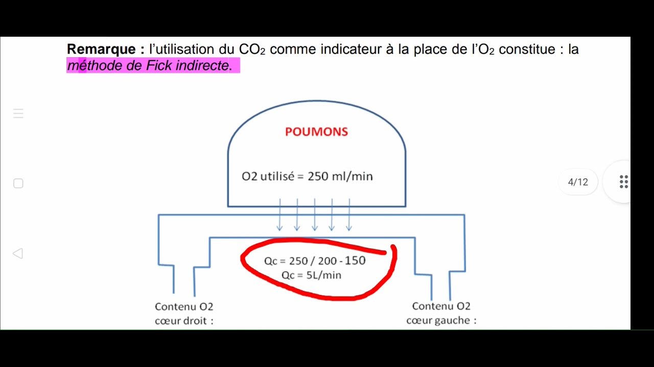 LE DEBIT CARDIAQUE (partie1) - YouTube