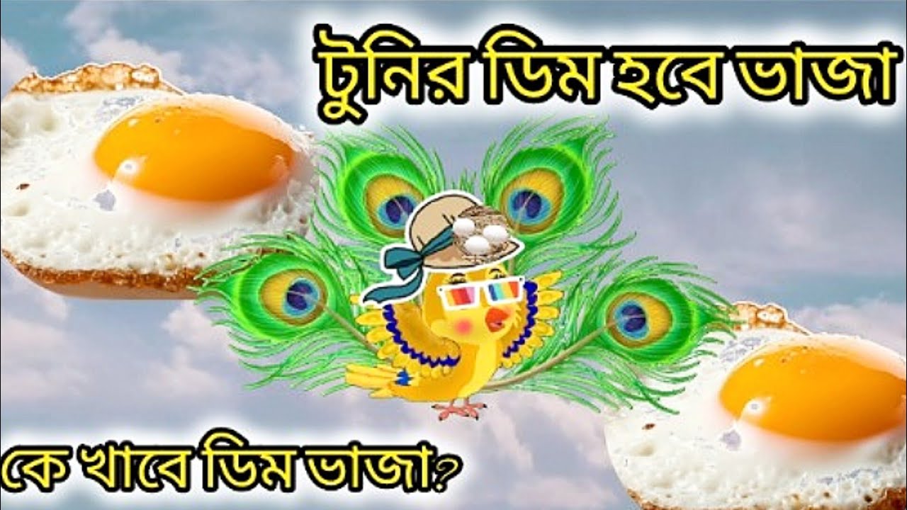 টুনির ডিম হবে ভাজা/ Tuni pakhir dim/Bangla Cartoon story/Thakumar jhuli ...