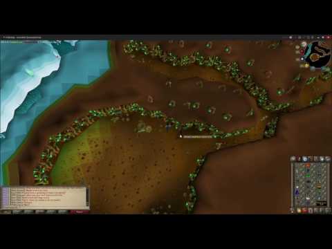 Killing Tanglefoot With Low Stats