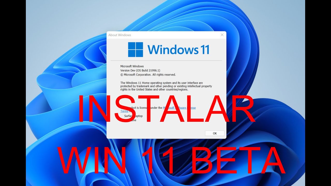 Instalador Windows 11