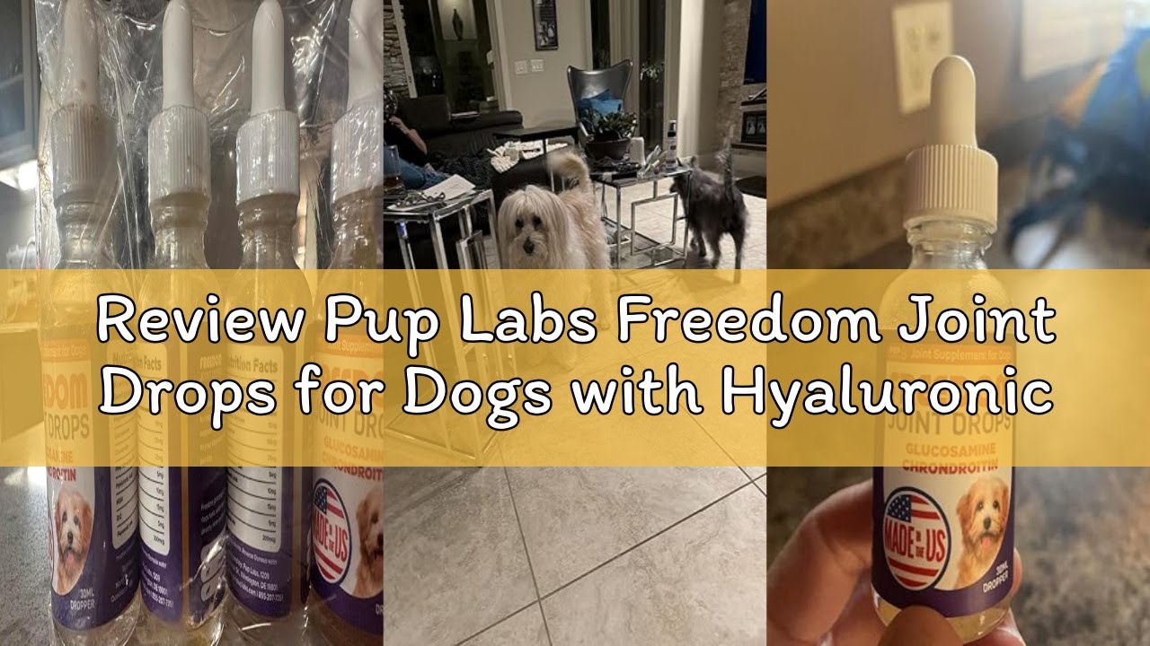 Review Pup Labs Freedom Joint Drops for Dogs with Hyaluronic Acid, MSM ...