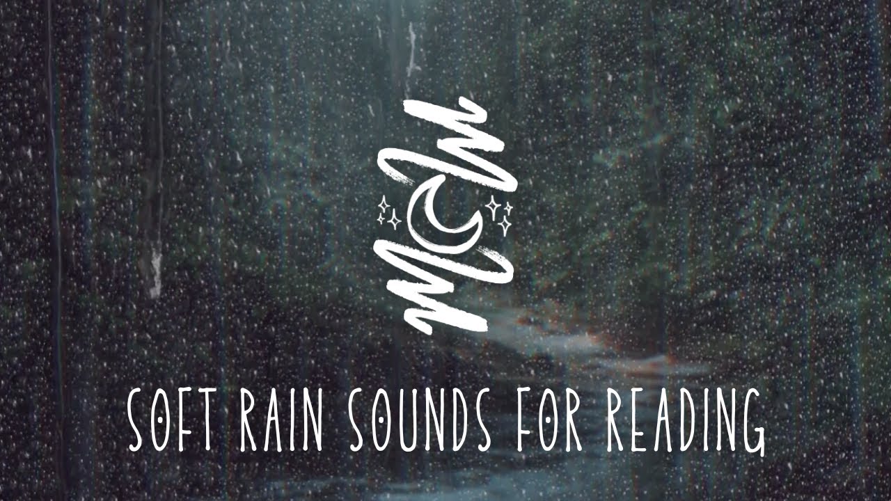 rainfall | soft rain ambience for relaxing, reading and sleeping 🌧️ ...