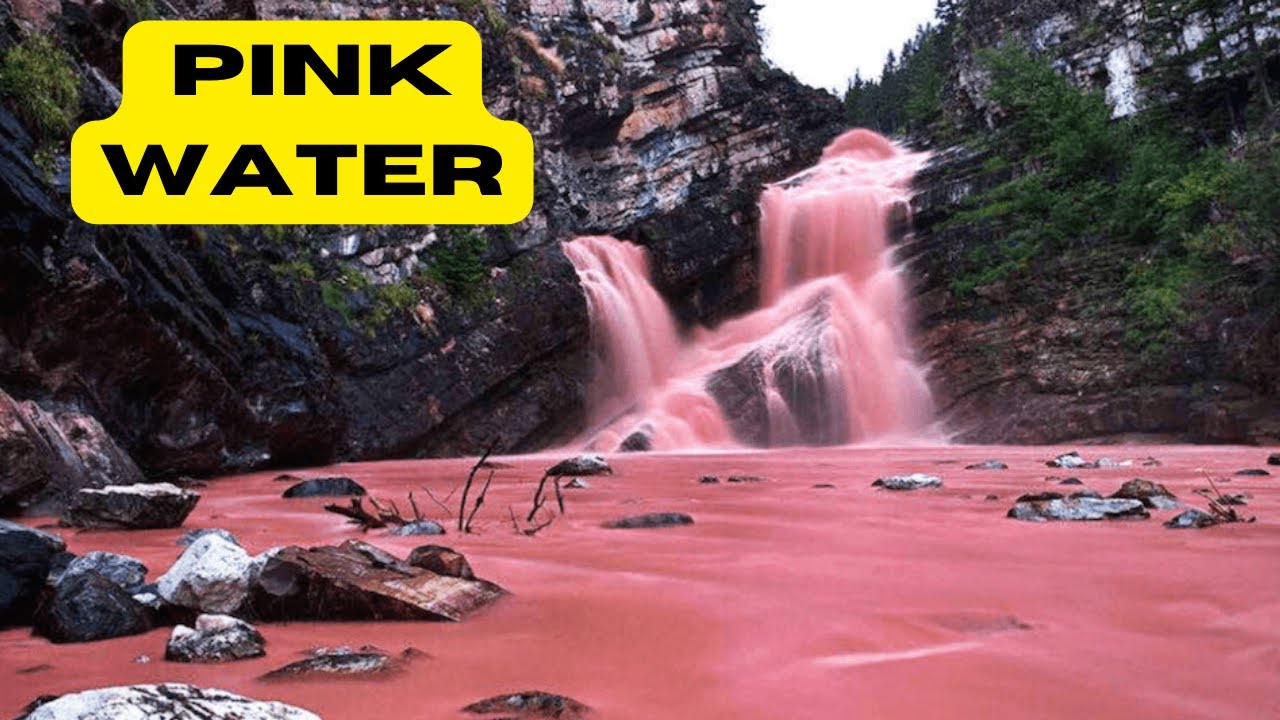 "Incredibly Beautiful! Pink Lake in Senegal is a True Wonder!"|QUICK ...