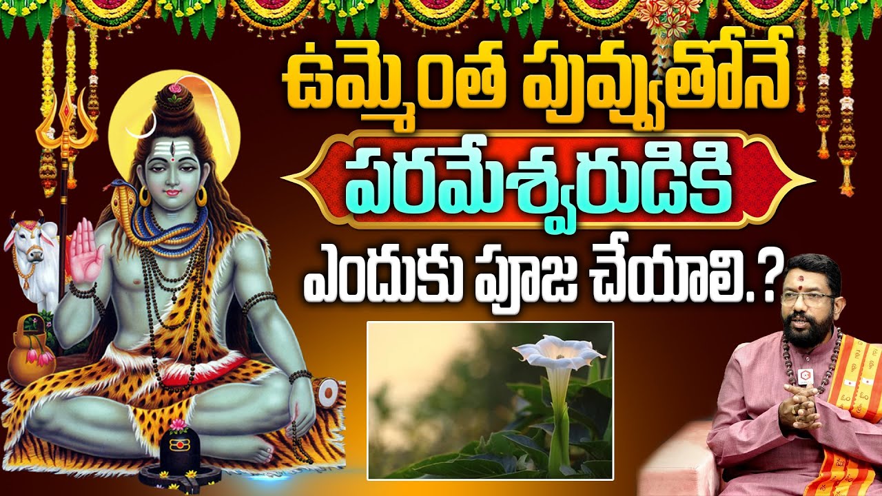 Lord Shiva Pooja With Ummetha Flower | 2023 Mahashivratri Special Pooja ...