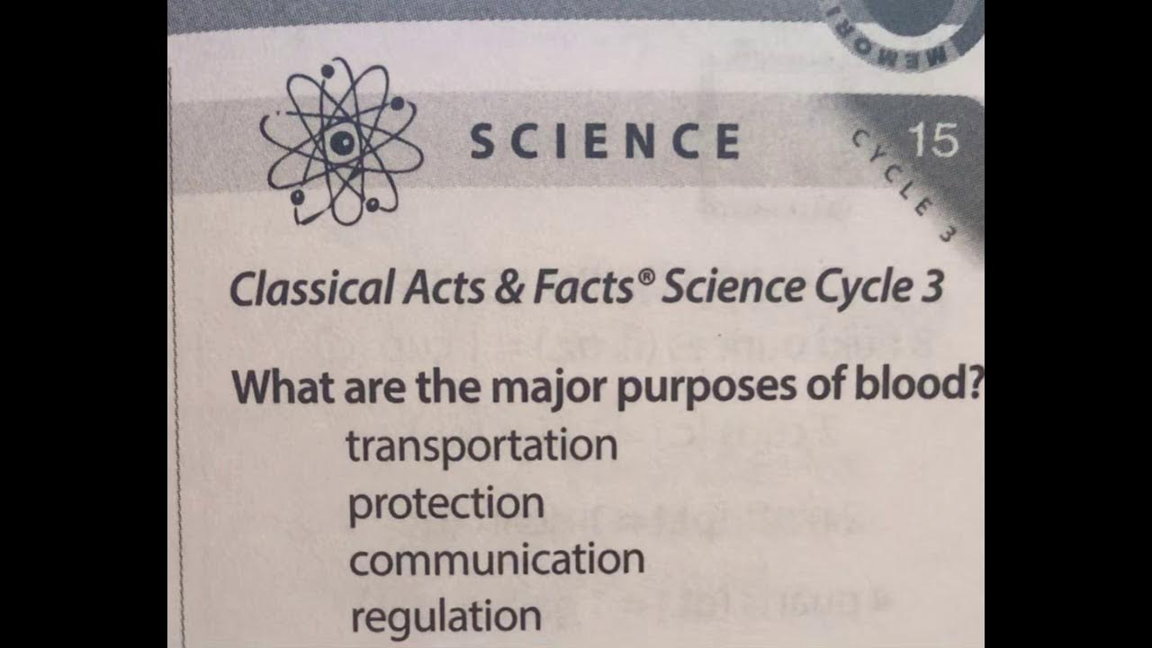 CC cycle 3 week 12 science - YouTube