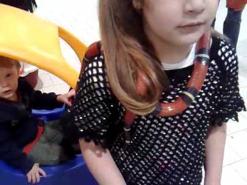 Aylin Dogan 25032010   korkusuz melek.mp4