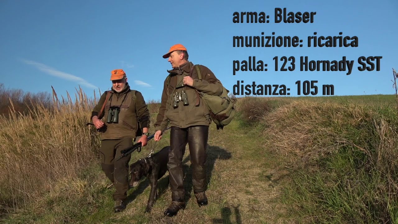 winter roe deer hunt 2020; caccia al capriolo invernale 2020; reejagd ...