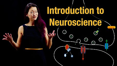 Introduction to Neuroscience - YouTube