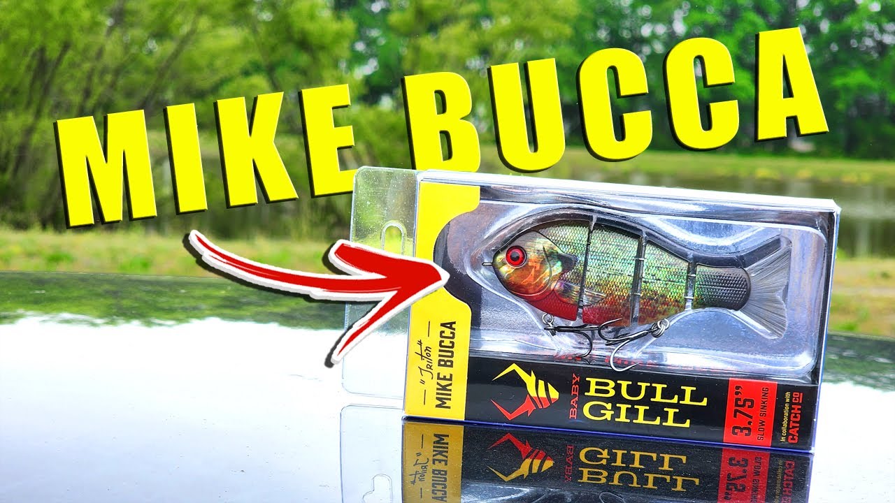 Fishing with Hard Swimbaits (Mike Bucca - Bull Gill) - YouTube